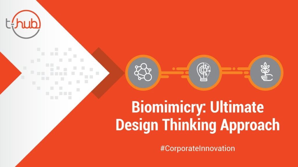 Biomimicry: Ultimate Design Thinking Approach - T-Hub
